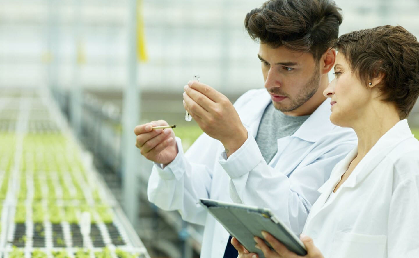 eLIMS - Login (Home>User)